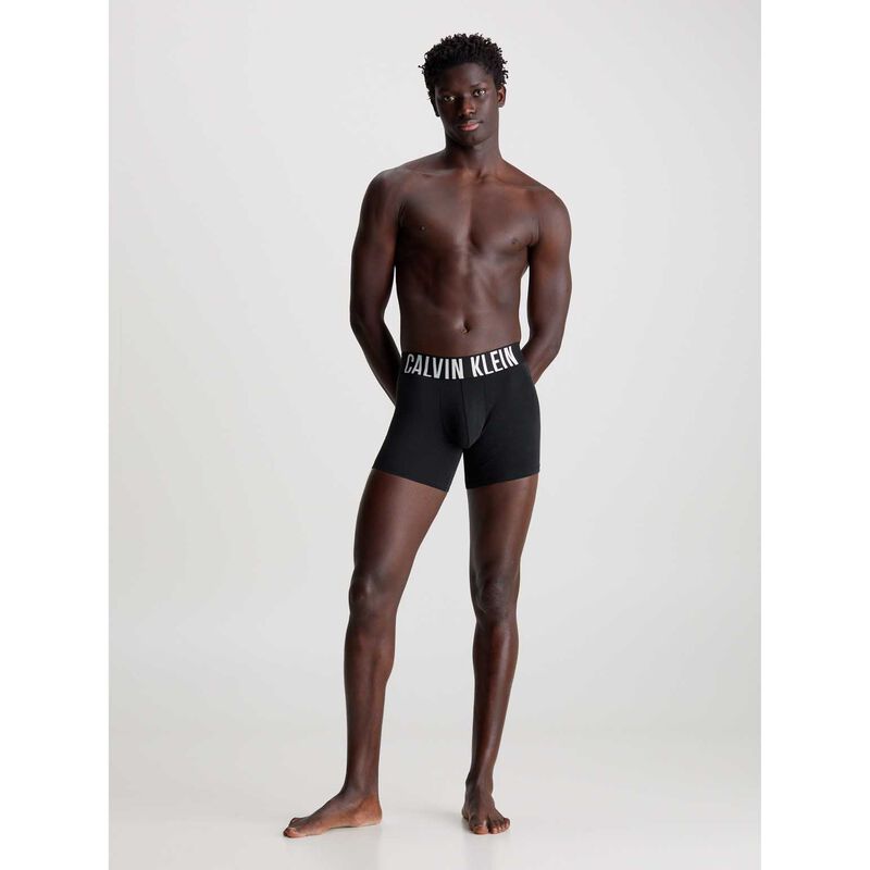 Calvin Klein Intense Power Boxer Briefs - 3 Pack | Ballantynes ...