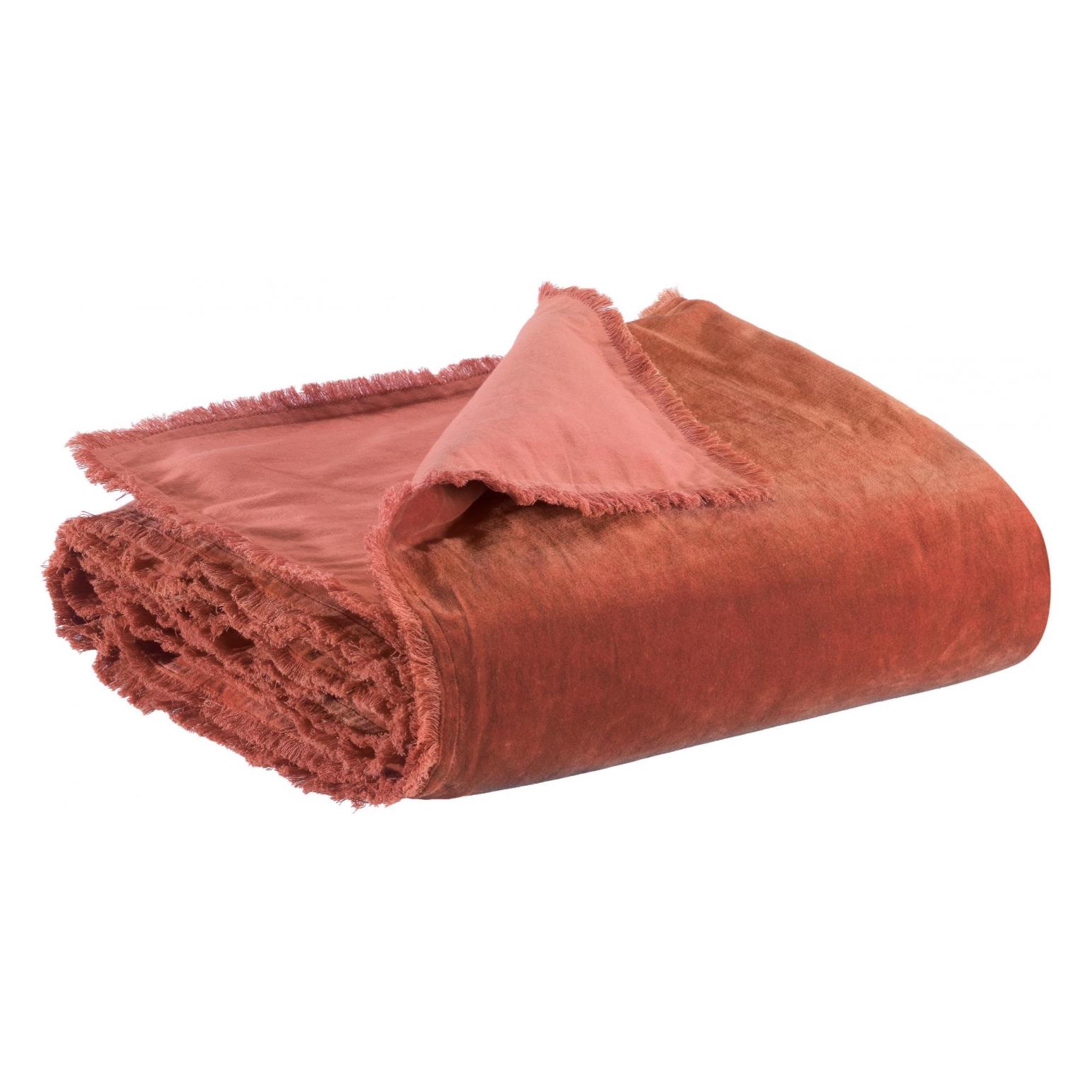 Vivaraise Fara Cotton Velvet Throw | Ballantynes Department Store